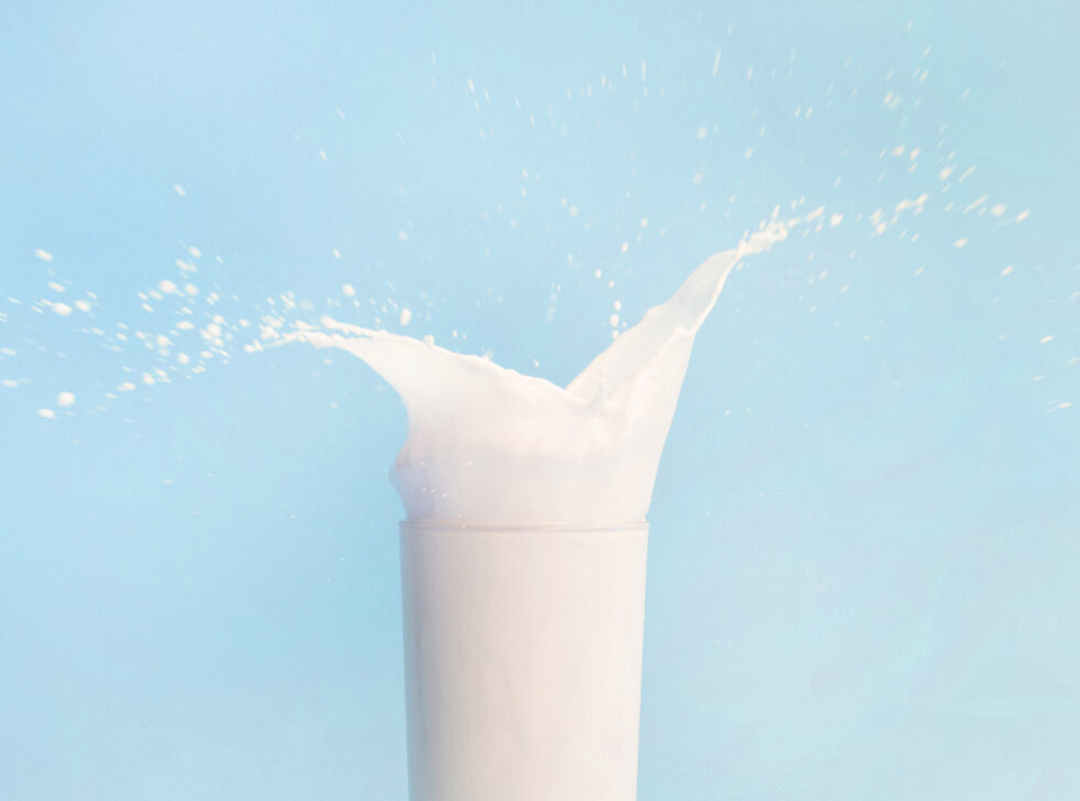 Lactium® | Lodia Nutrition